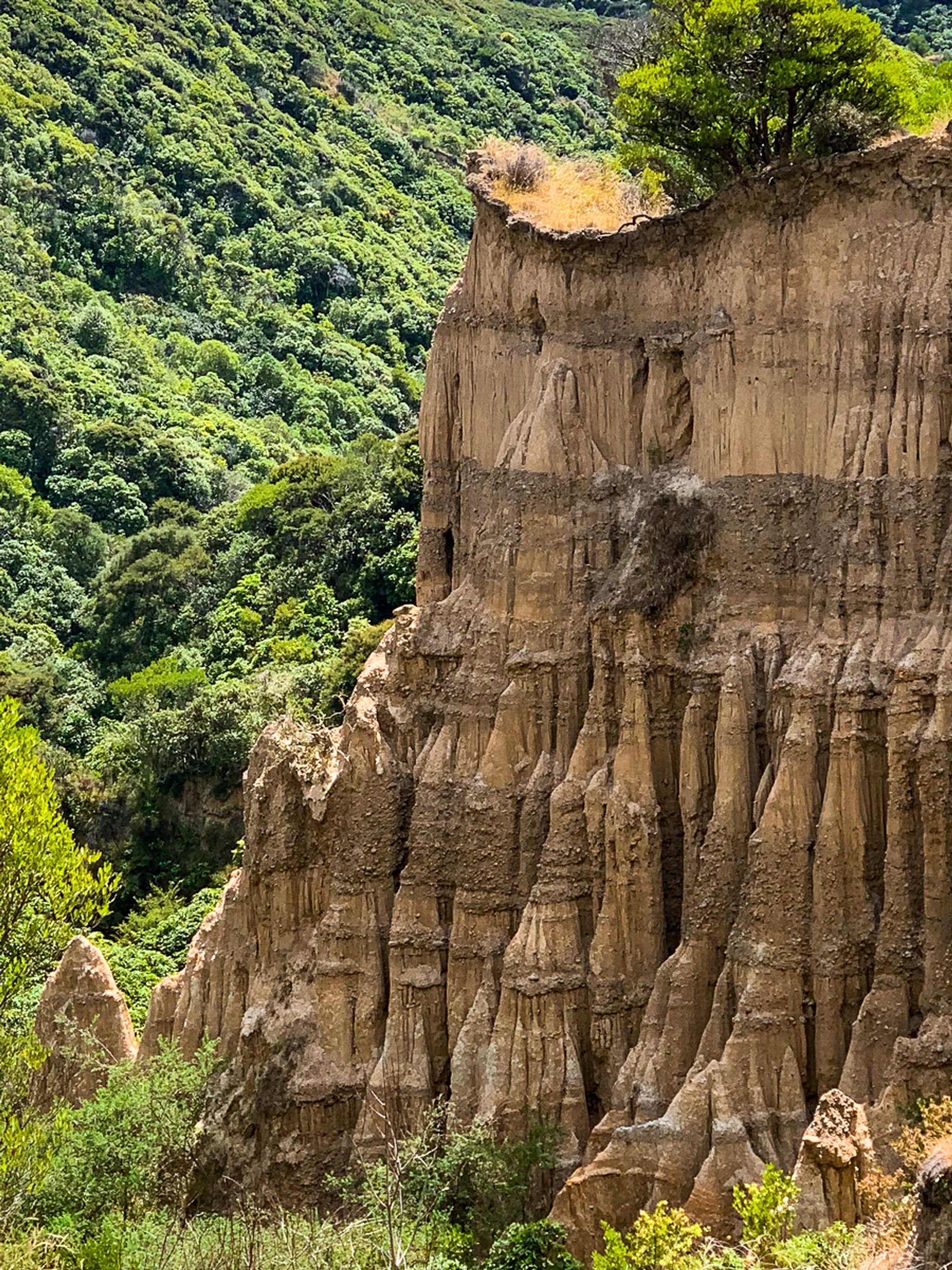 Gore Bay | North Canterbury - New Zealand Trip Ideas