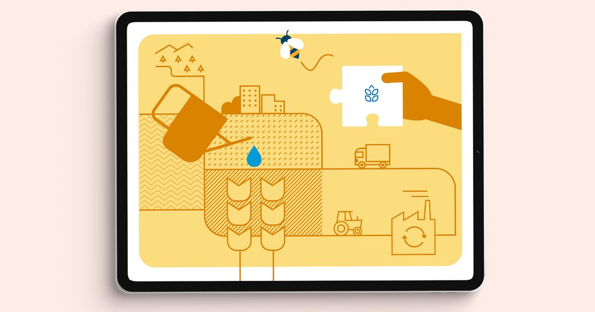 Viken fylkeskommune | Visuelt fortalt