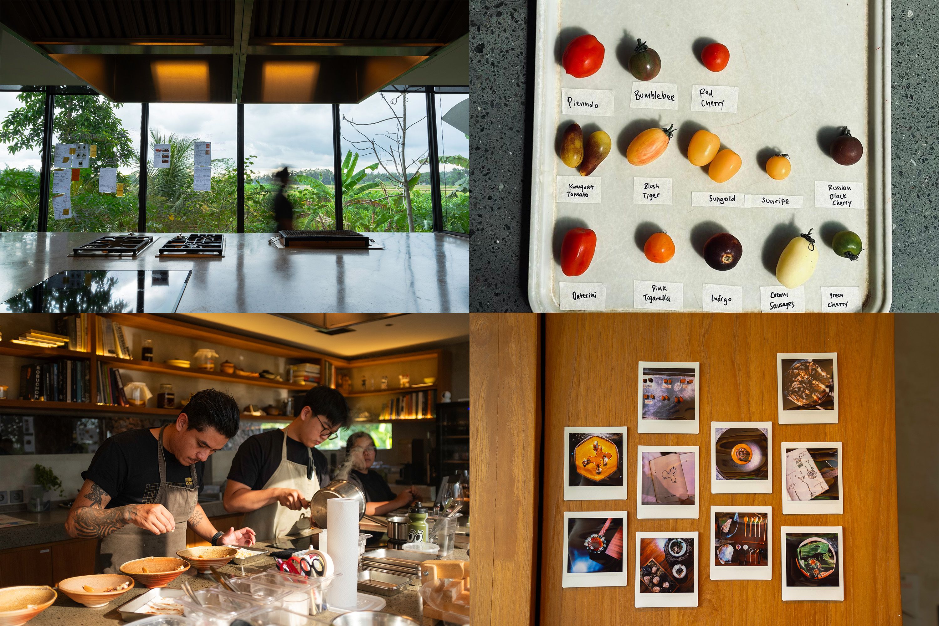 LabX • Locavore NXT®