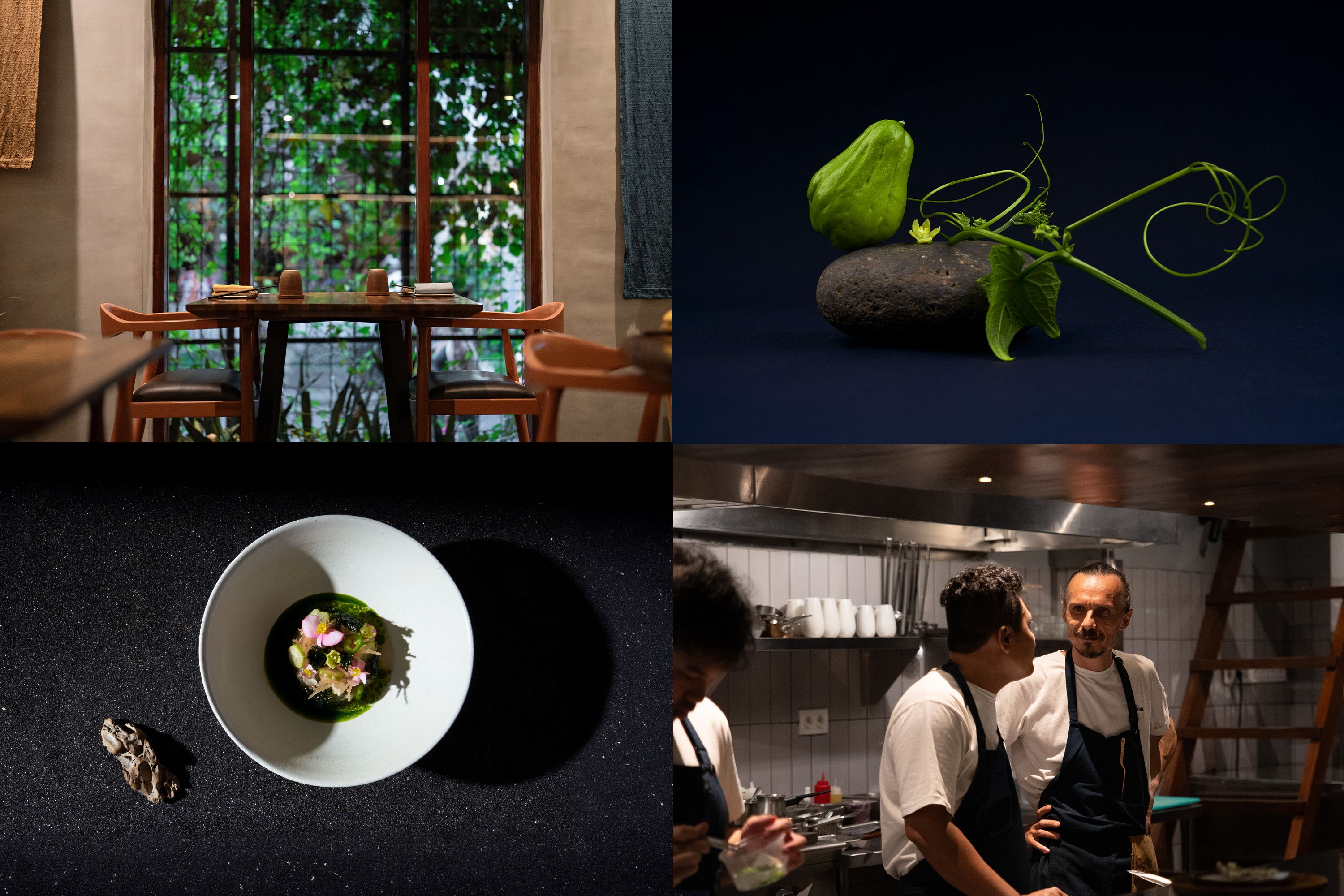 Herbivore • Locavore NXT®