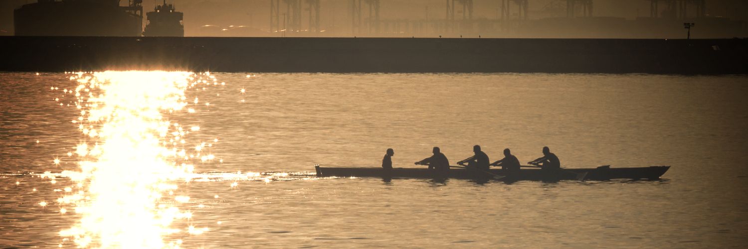 Auction Teamwork: Roles & Tasks