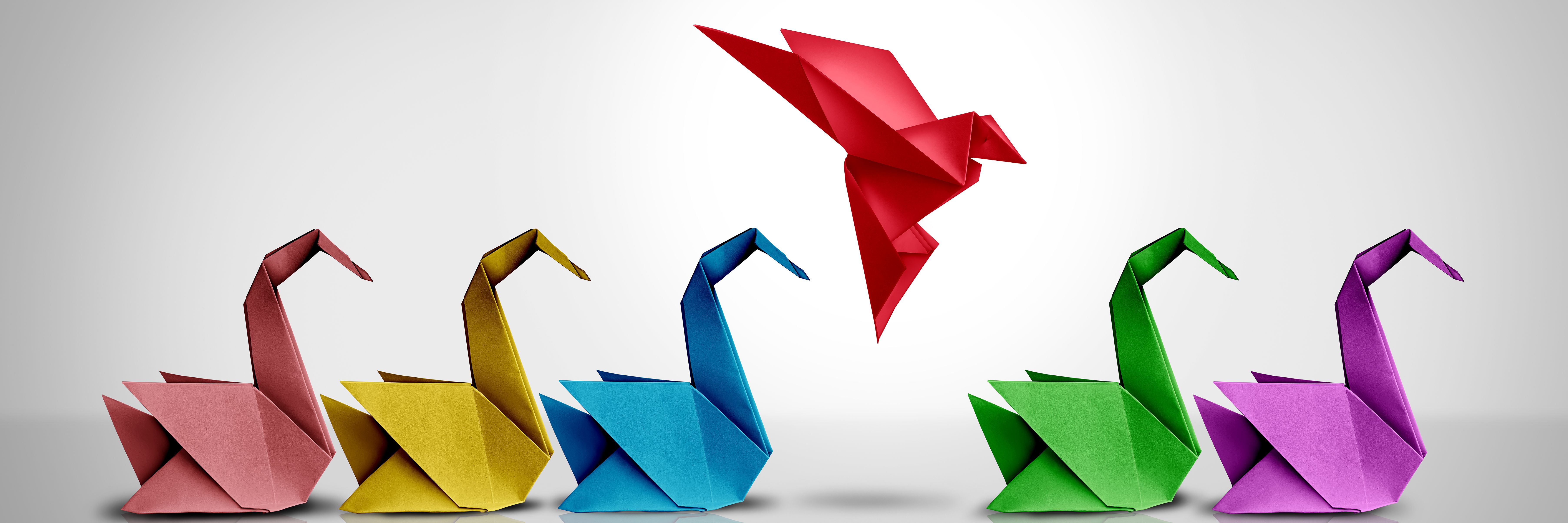 Transforming Event Attendees into Lifelong Donors: Insights from Claire Axelrad