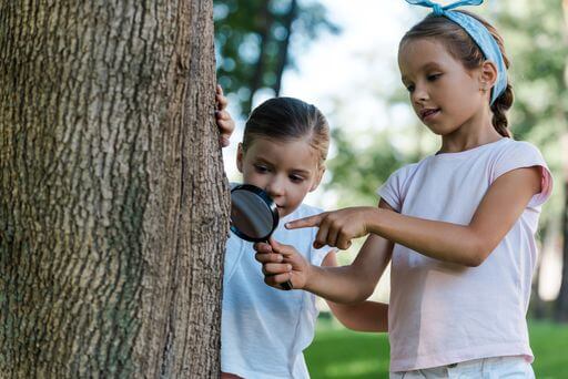 Backyard Wildlife Habitat Scavenger Hunt- The TurfMutt Foundation