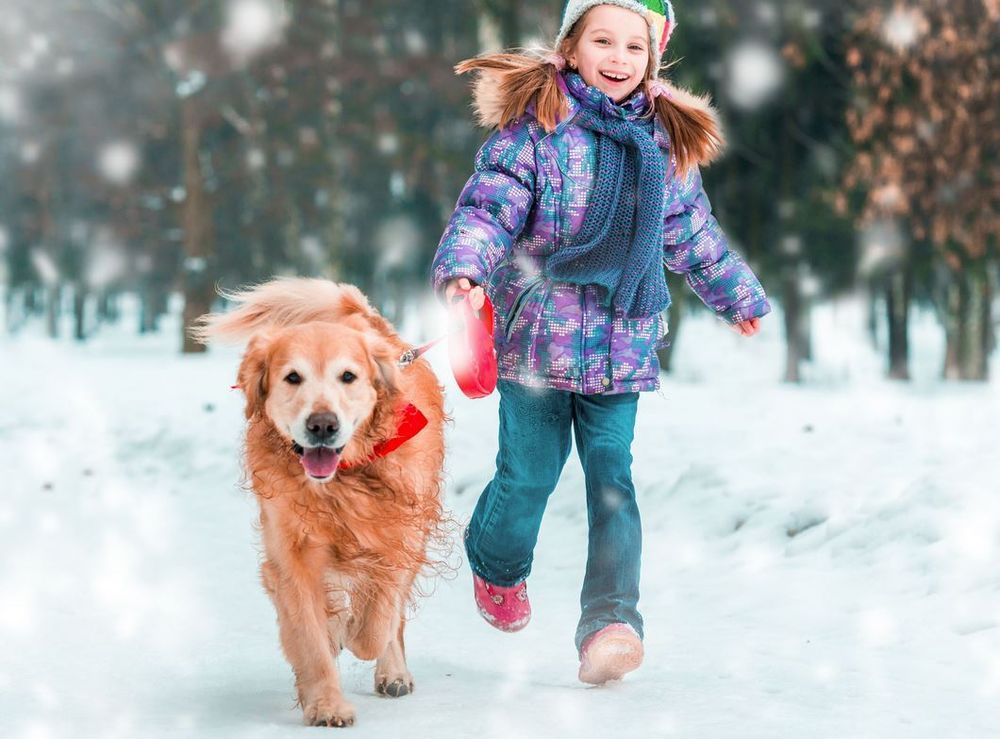 7 reasons why backyarding in winter is good for us - The TurfMutt ...