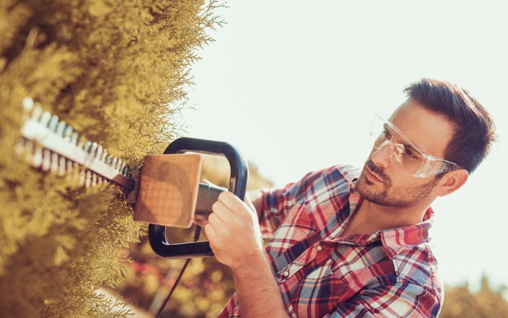 Do This Fall Yard Work and Reap Springtime Benefits - The TurfMutt ...