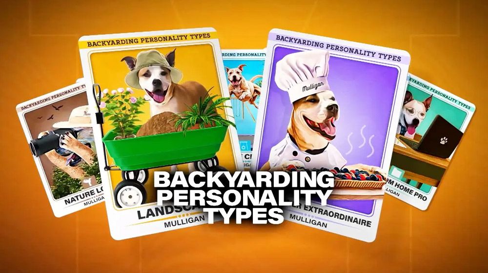Know Your Backyarding Personality Type This Fall - The TurfMutt Foundation