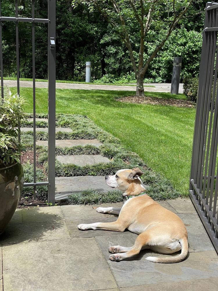 Read May Mutt Mail - The TurfMutt Foundation