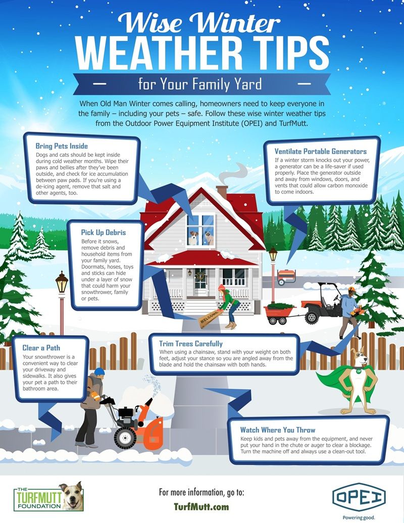 Infographic: Wise Winter Weather Tips - The TurfMutt Foundation