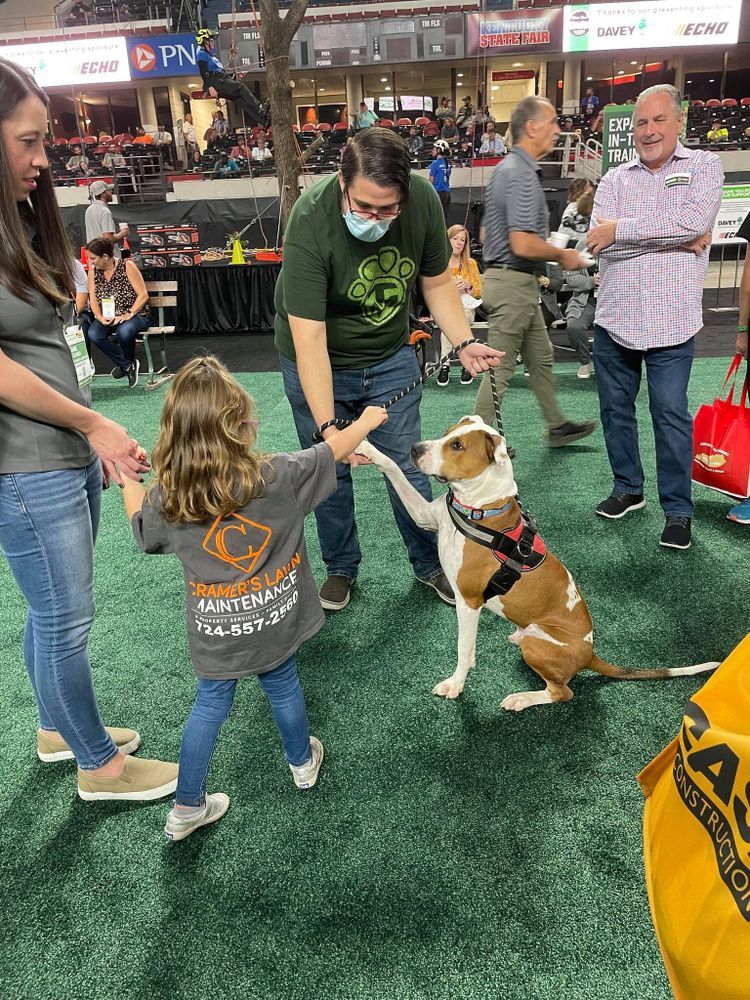 Mutt Madness Video: Check Out These Lucky Pups - The TurfMutt Foundation