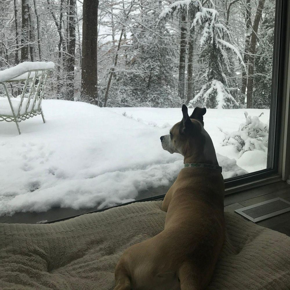 Backyarding has a purpose. What’s yours? - The TurfMutt Foundation