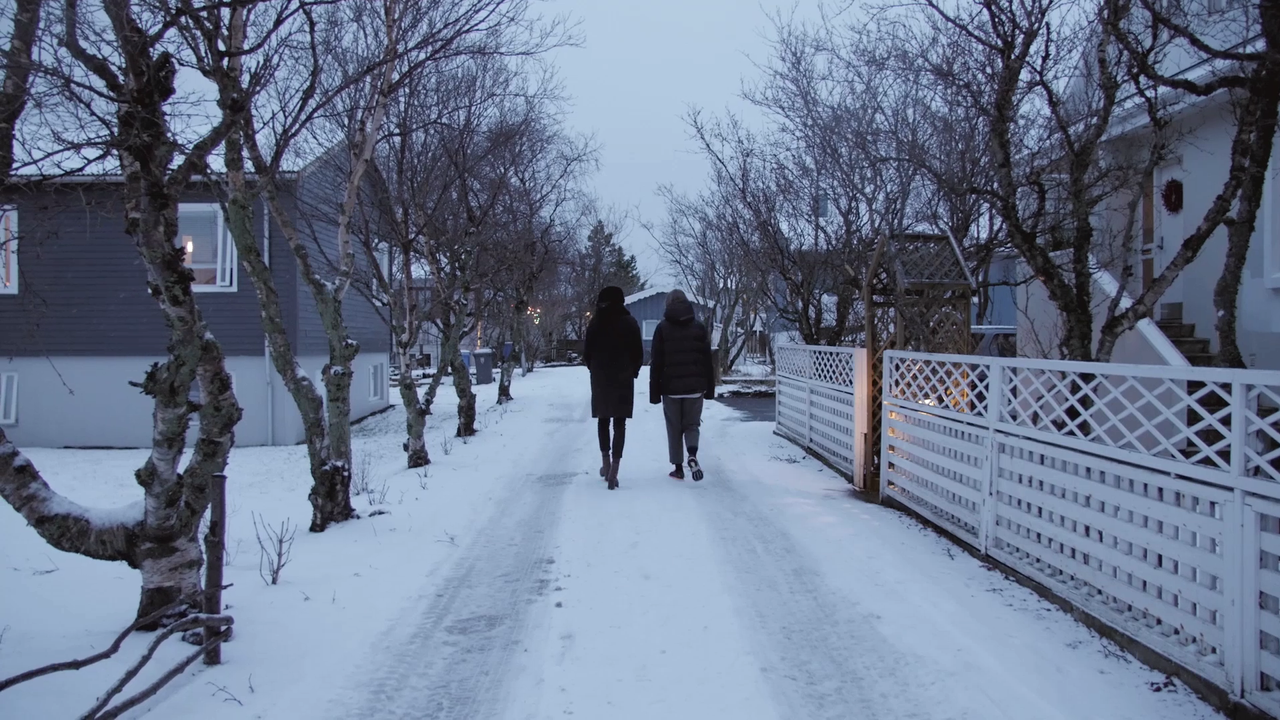 Pascal Pinon – They Shoot Music