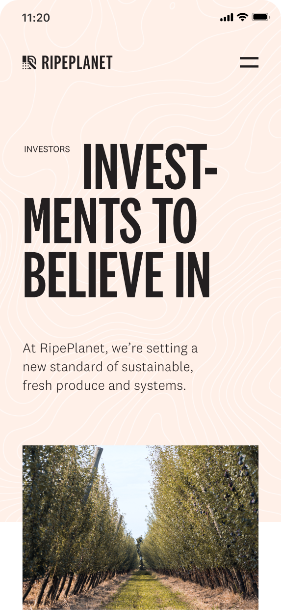 RipePlanet – Experience Design and Technology Studio