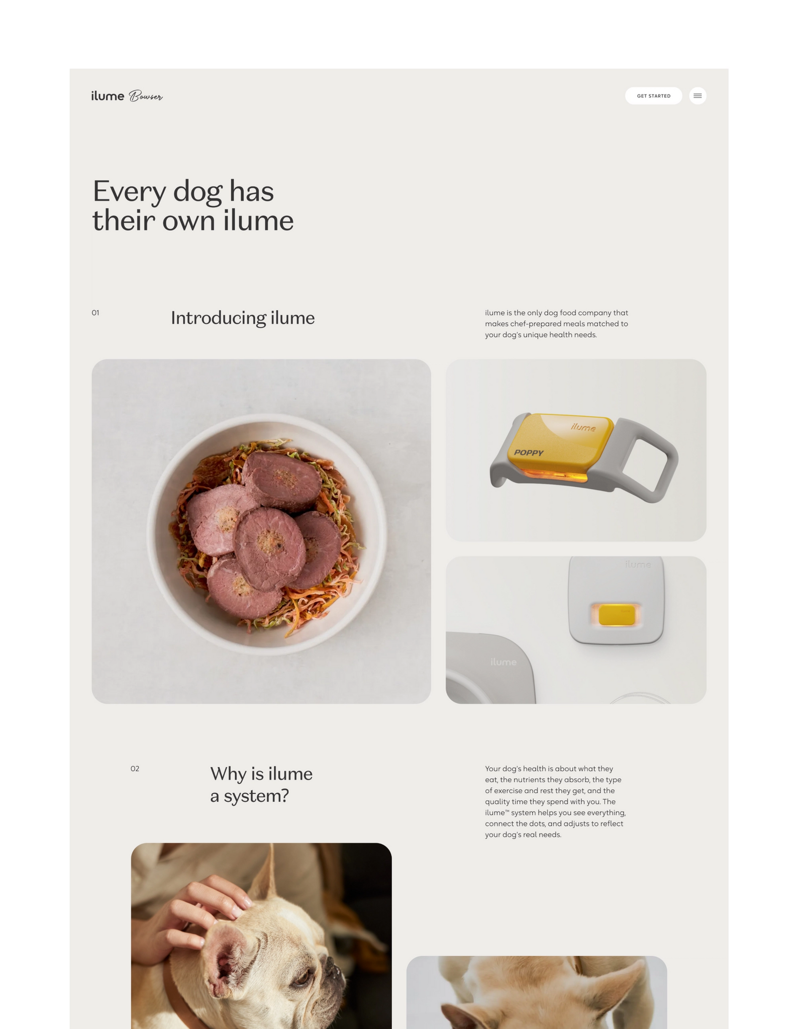 ilume – Digital Product Company