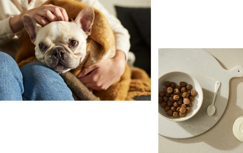 ilume – Digital Product Studio