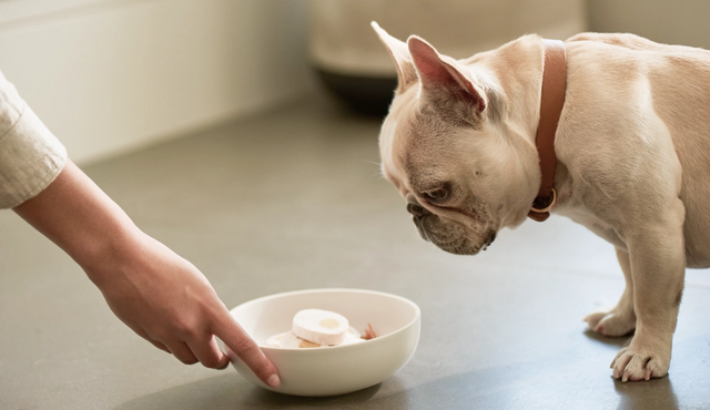 ilume – Digital Product Studio