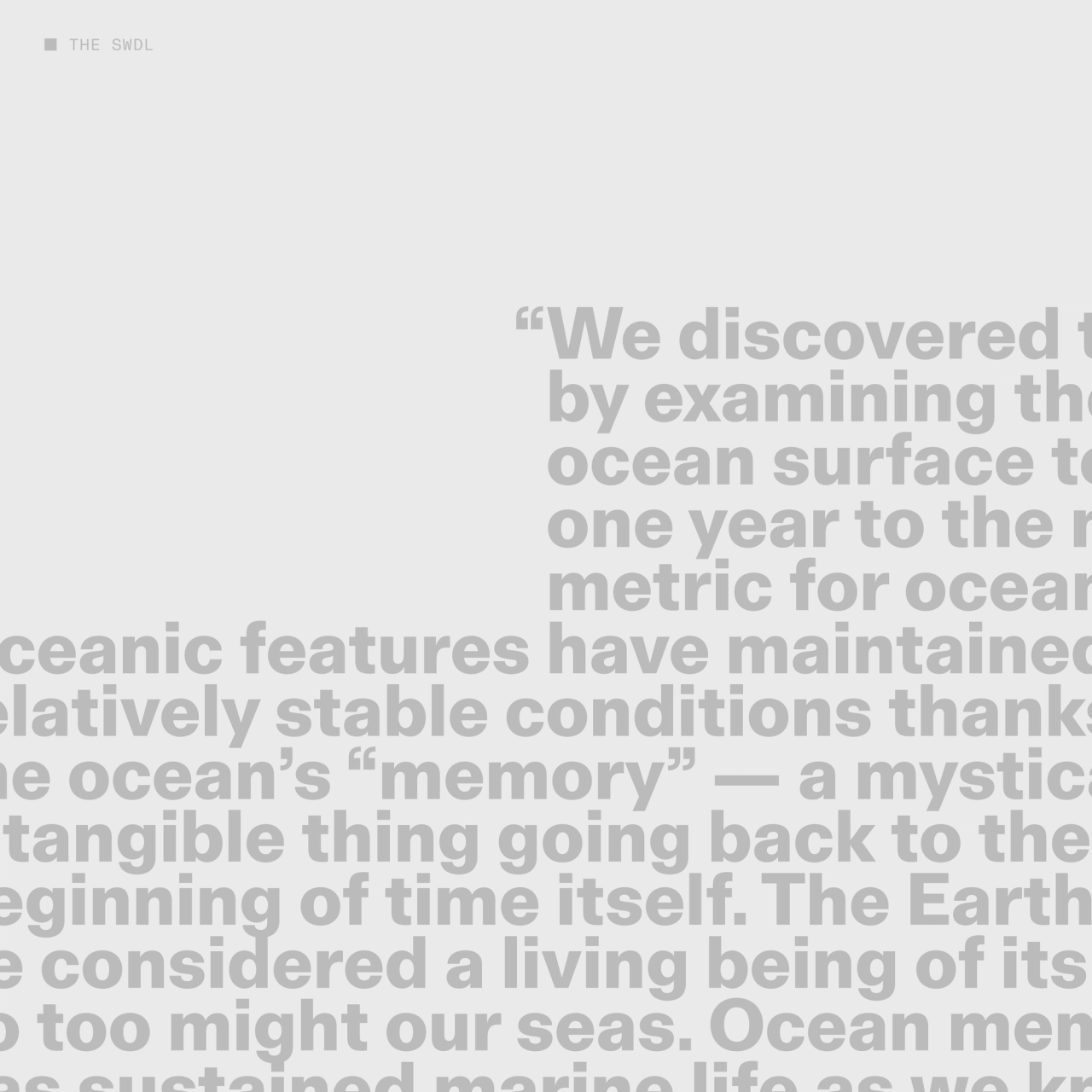 The Swaddle – Digital Product Studio
