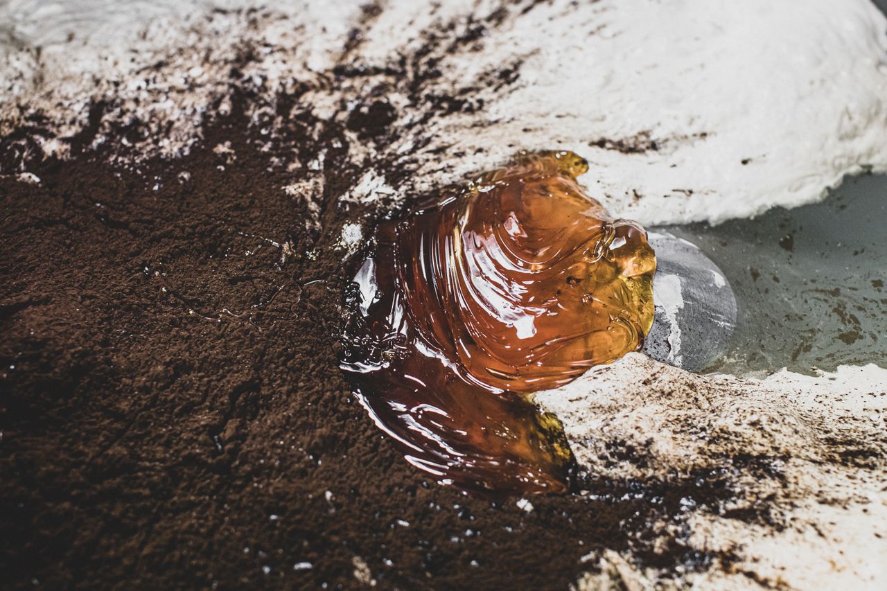 Sonoma – Digital Product Studio