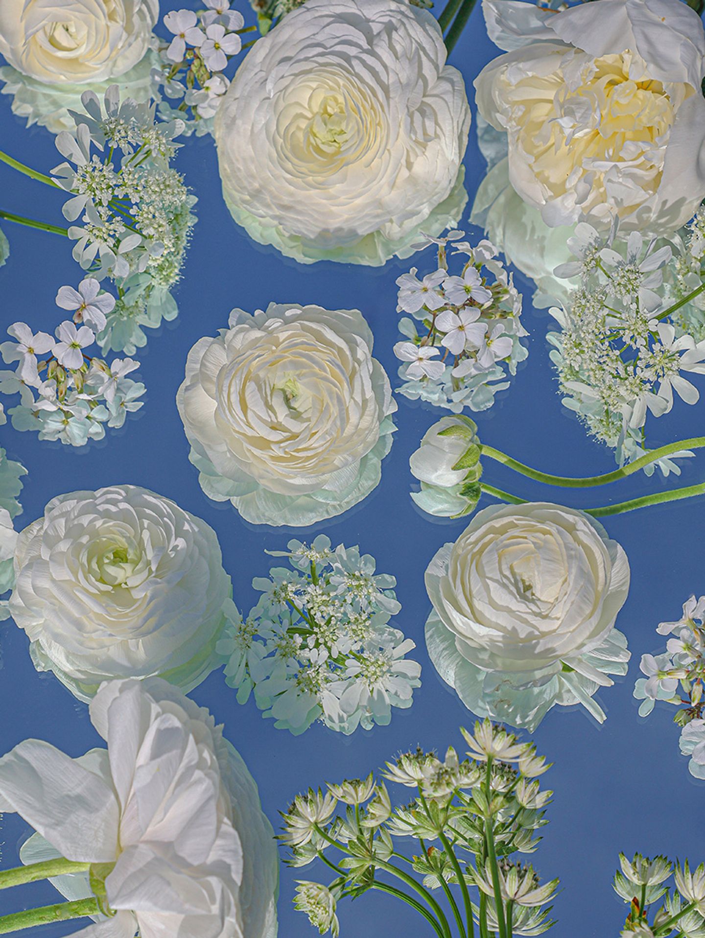 In Focus: Joe Horner on Capturing Nature’s Ephemeral Beauty · Urth Magazine