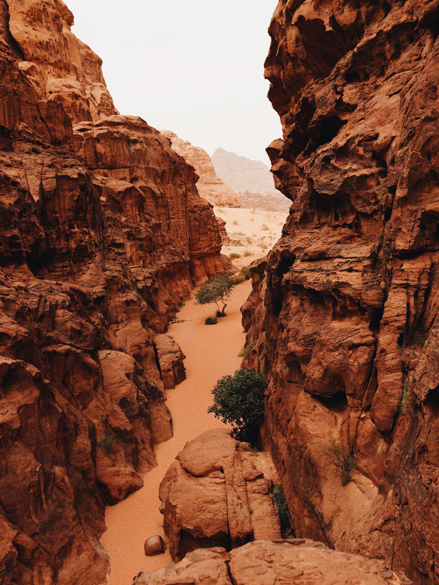 Five Photographers Share Their Composition Techniques · Urth Magazine