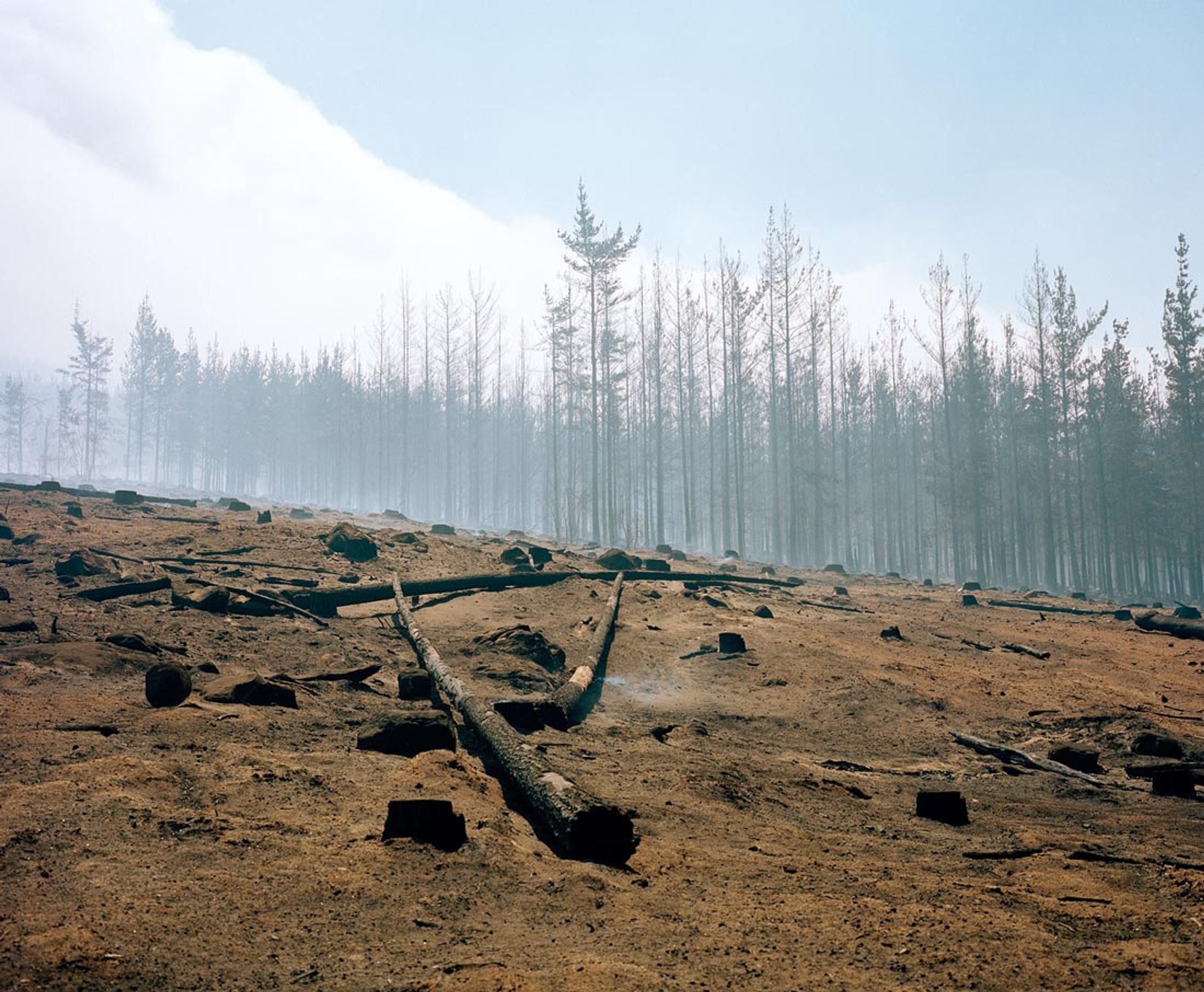 Kent Andreasen Photographs Humans vs. Nature · Urth Magazine