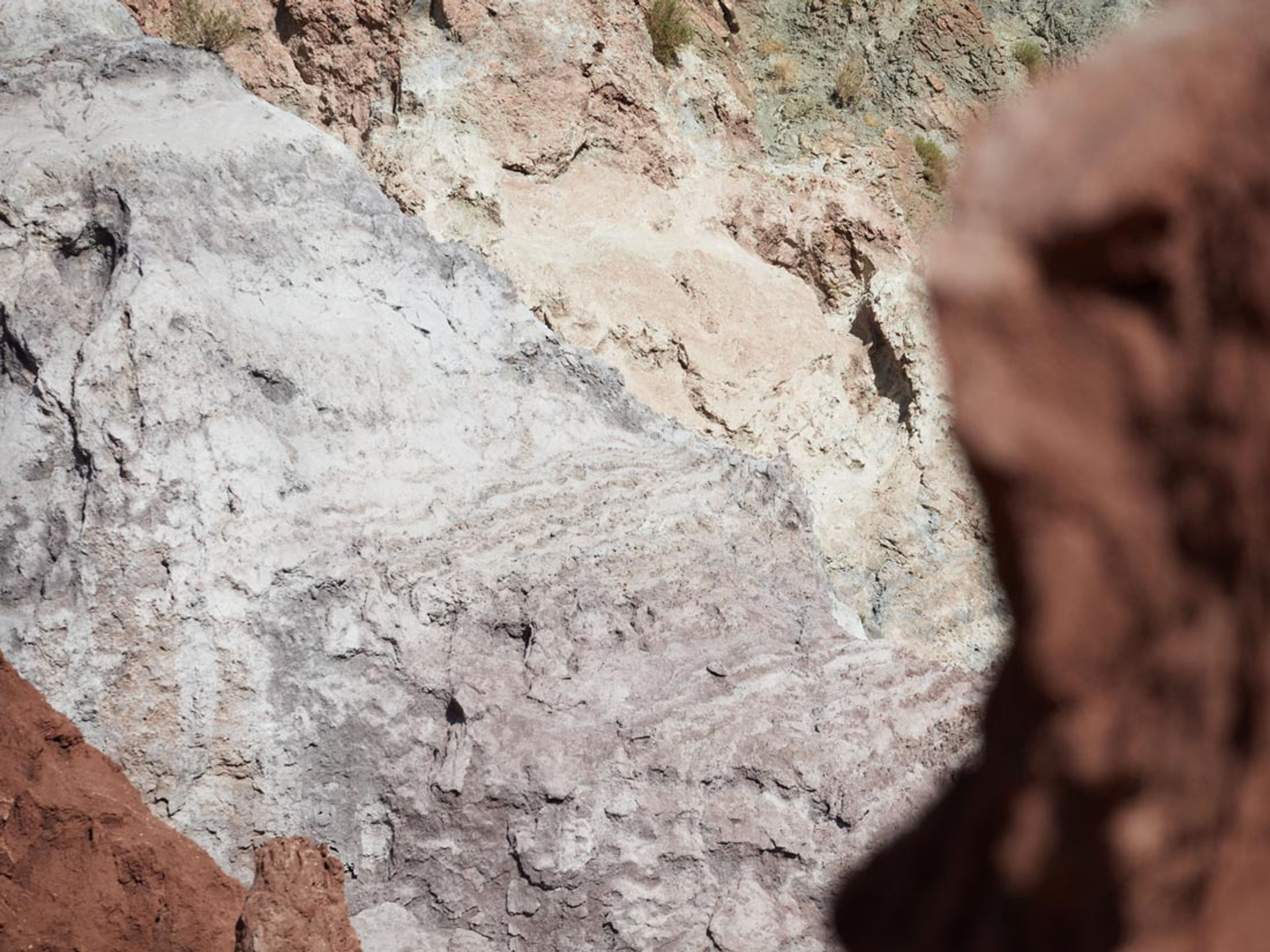 A Quick Guide to F-Stops: Examples & Photos · Urth Magazine