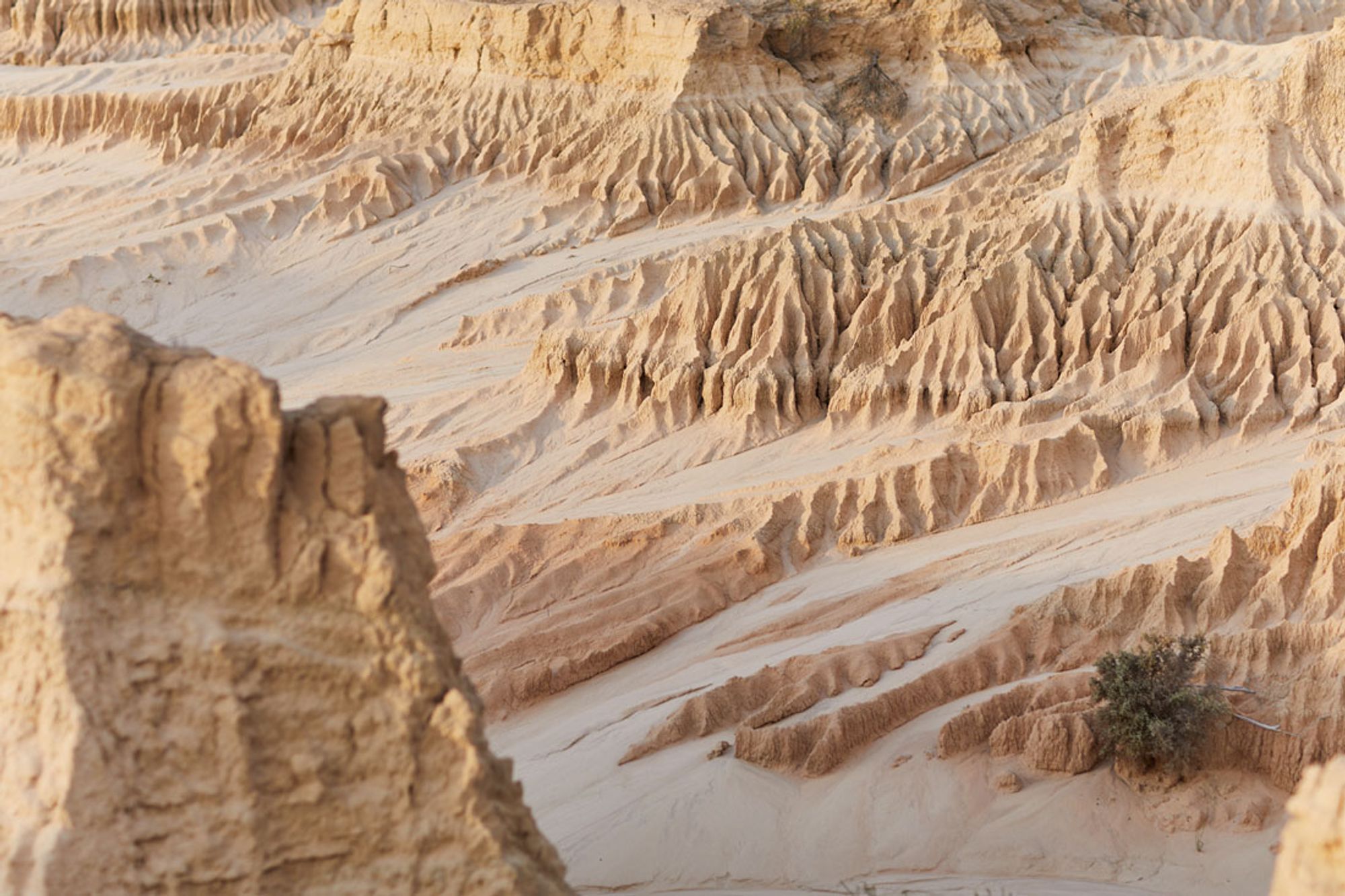 A Quick Guide to Depth of Field: Examples & Photos · Urth Magazine