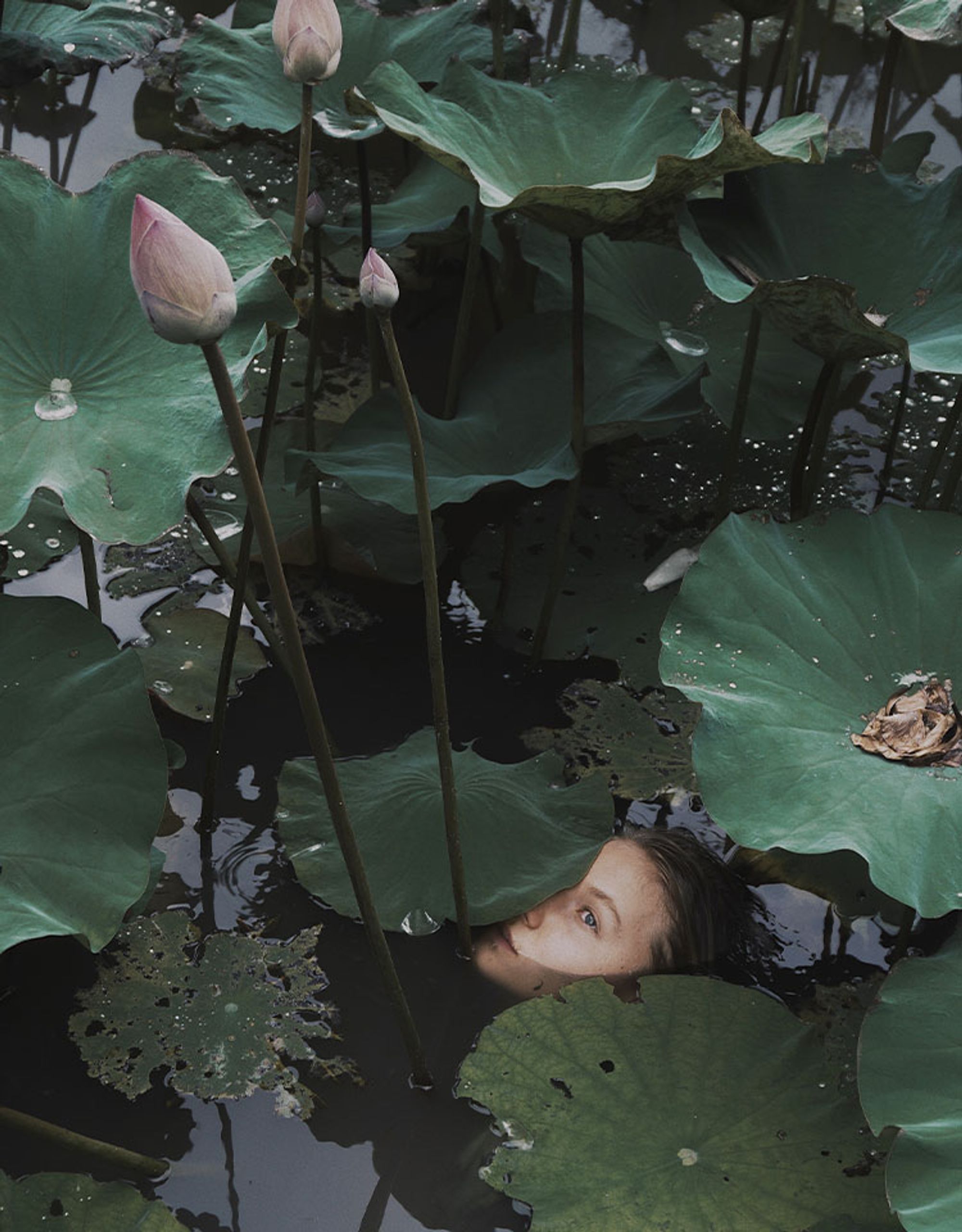 Natalie Karpushenko Animates the Natural World · Urth Magazine