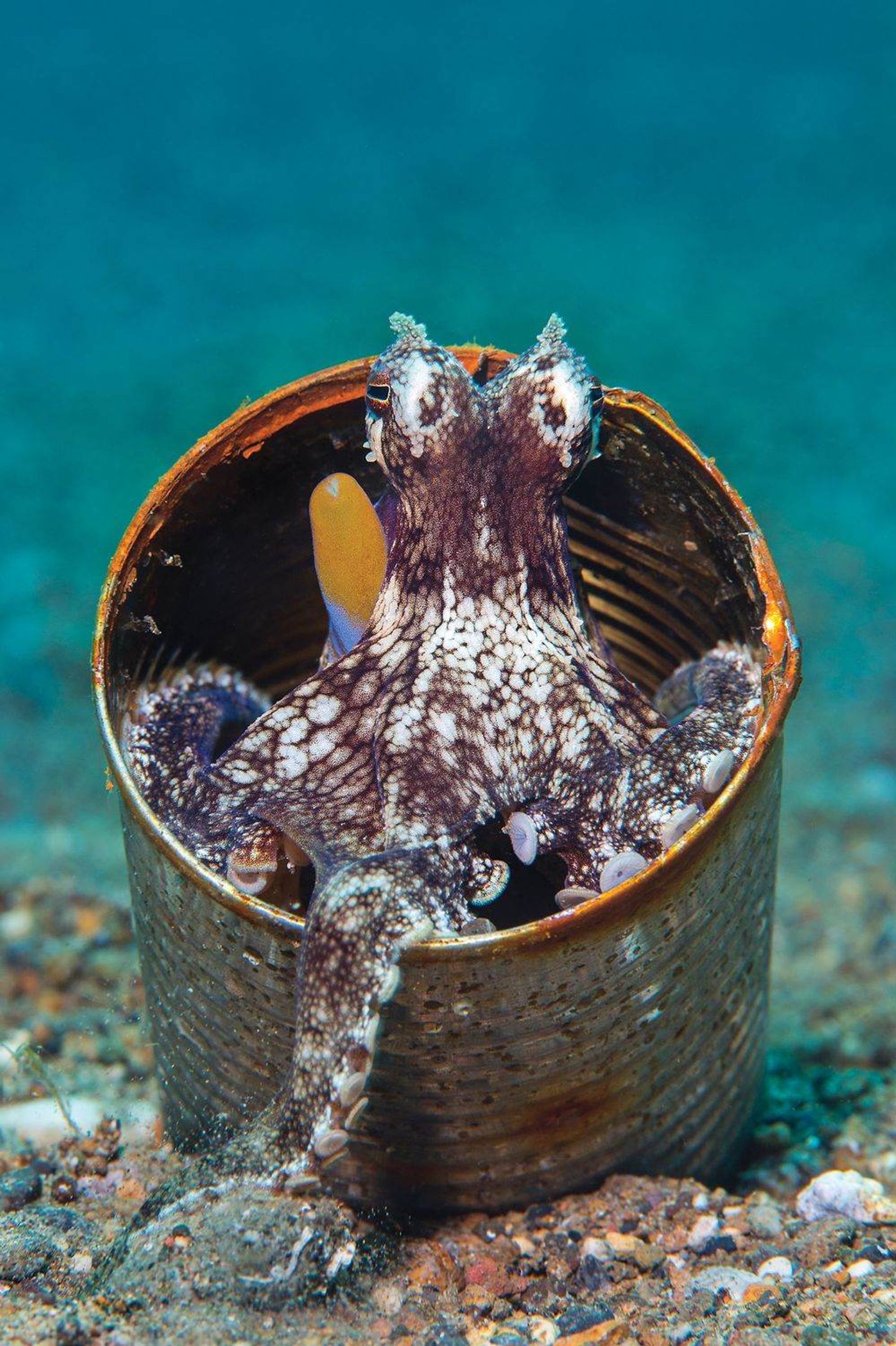 Our Guide to Lens Filters for Water Photography · Urth Magazine