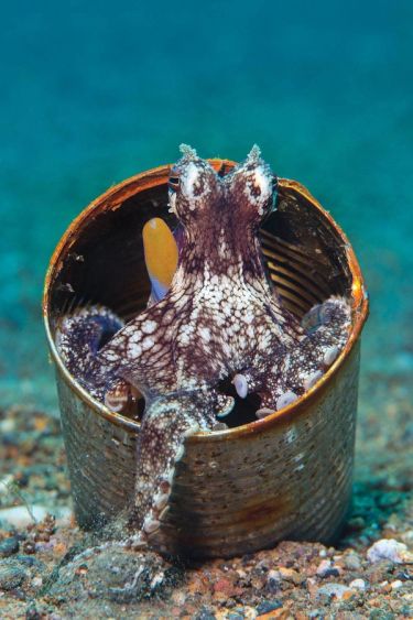 Our Guide to Lens Filters for Water Photography · Urth Magazine