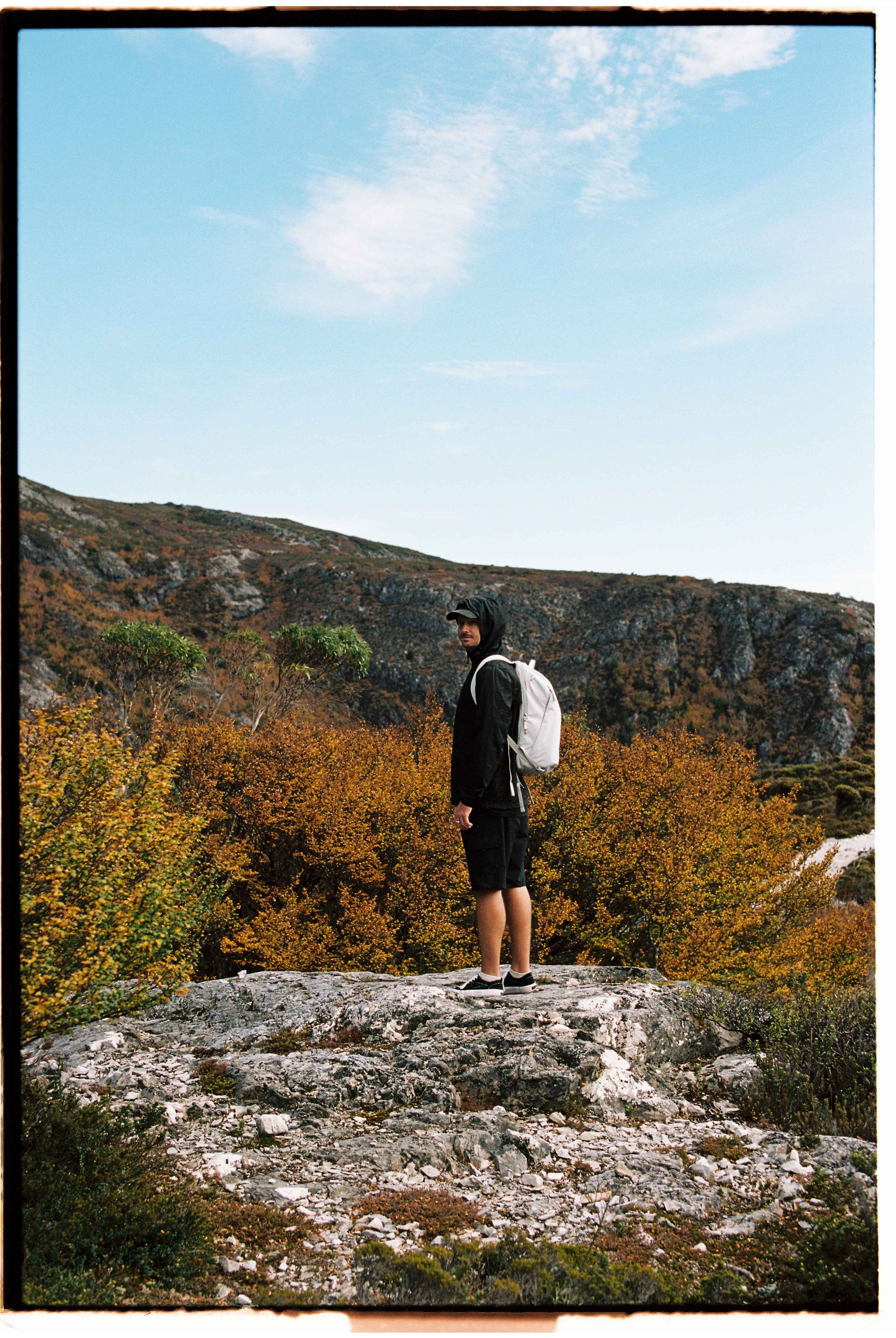 Golden Tapestry: The Turning of the Fagus | Urth Magazine · Urth Magazine
