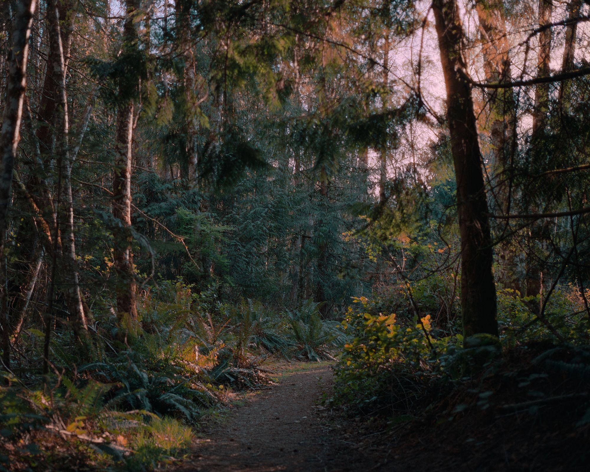 11 Pieces of Gear Chiara Zonca Uses For a Photoshoot · Urth Magazine