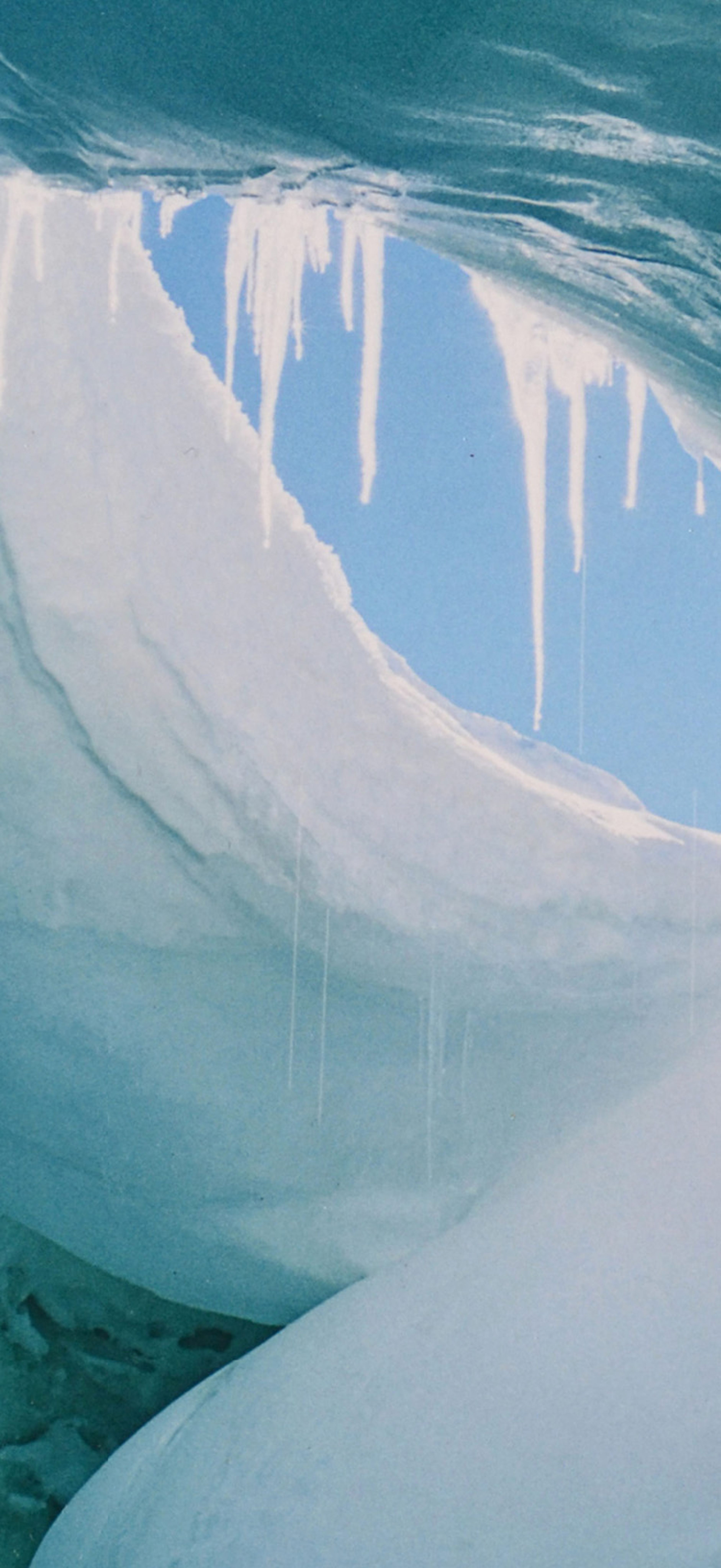 How Eliot Porter Captured Nature’s Most Intimate Landscapes · Urth Magazine