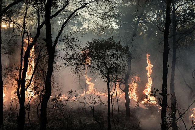 Burning Cold: The Power of Indigenous Fire Knowledge with Victor ...