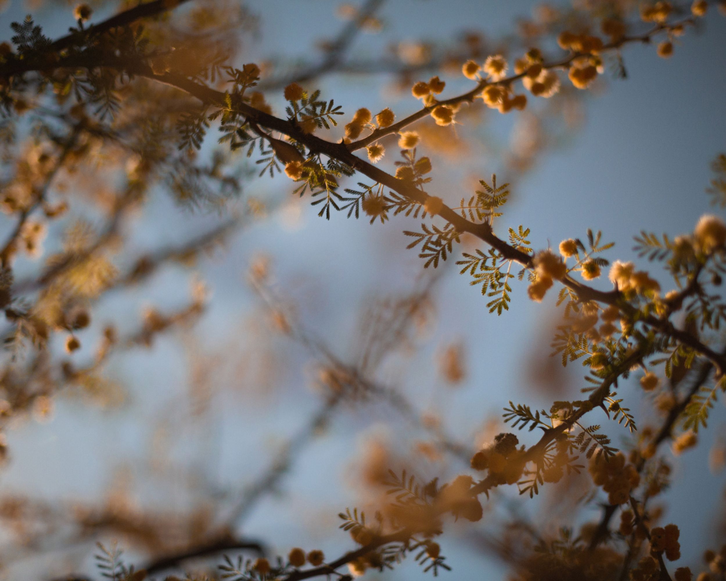 Conquering Harsh Light Photography- The Power of ND1000 Filters · Urth ...