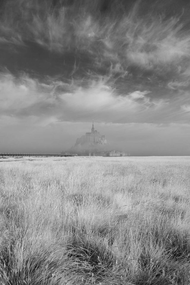 Infrared Filters: What Are They & How Do They Work · Urth Magazine