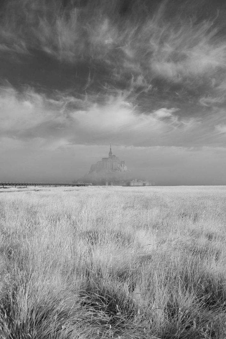 Infrared Filters: What Are They & How Do They Work · Urth Magazine