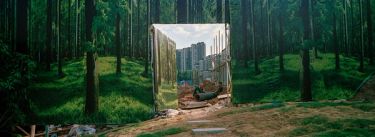 10 Examples of Powerful Visual Storytelling in Photos · Urth Magazine