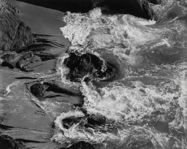 How Edward Weston Pushed Photography into Modernity · Urth Magazine