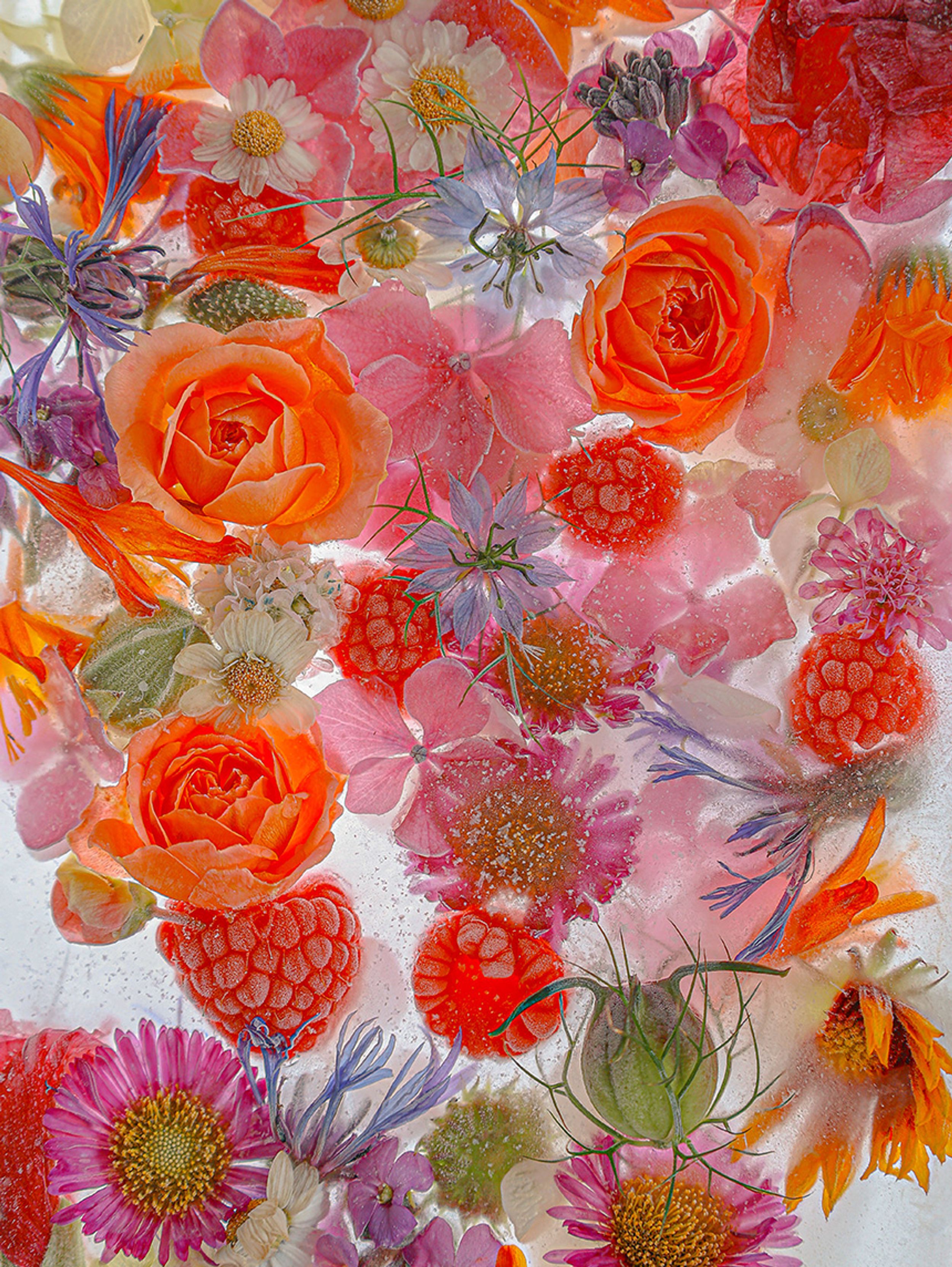 In Focus: Joe Horner on Capturing Nature’s Ephemeral Beauty · Urth Magazine