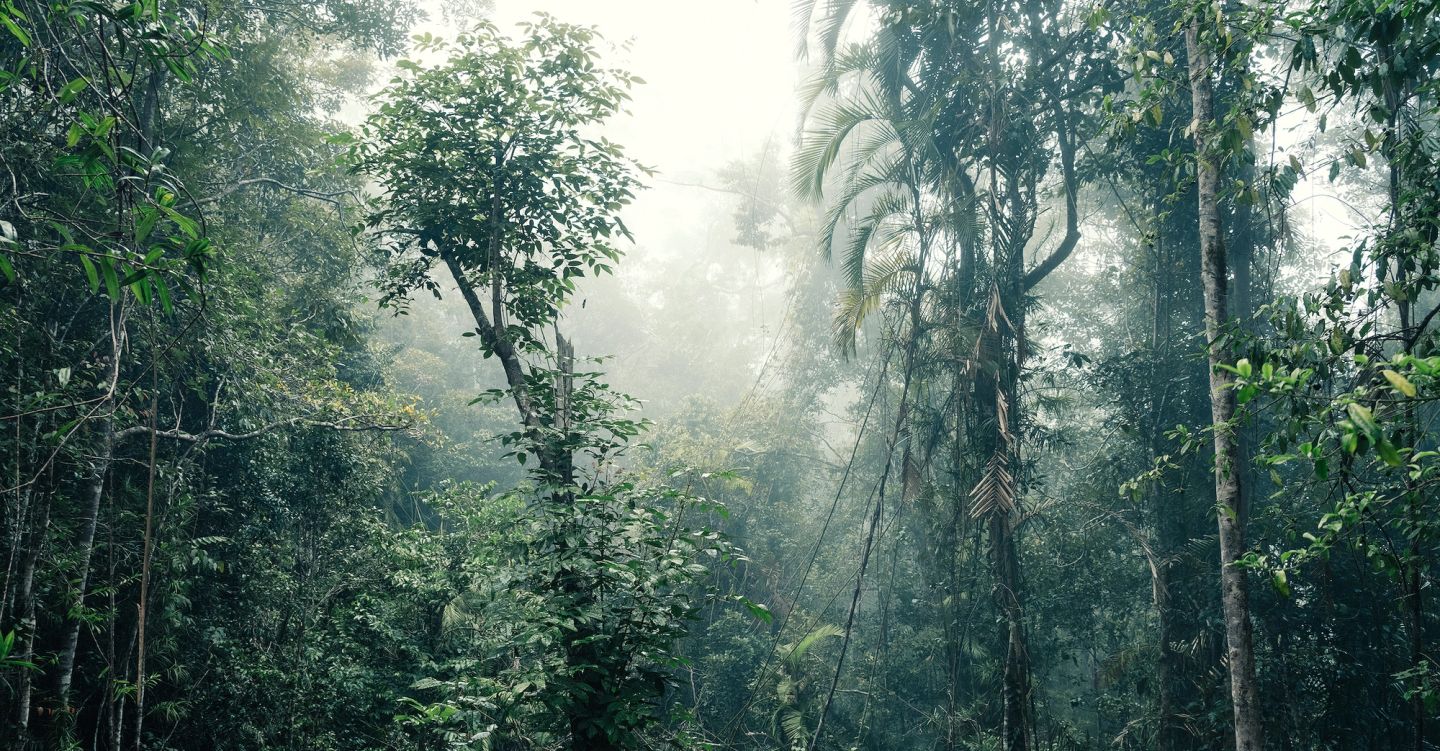 The Best Lens Filters for Nature Photography (2024) · Urth Magazine