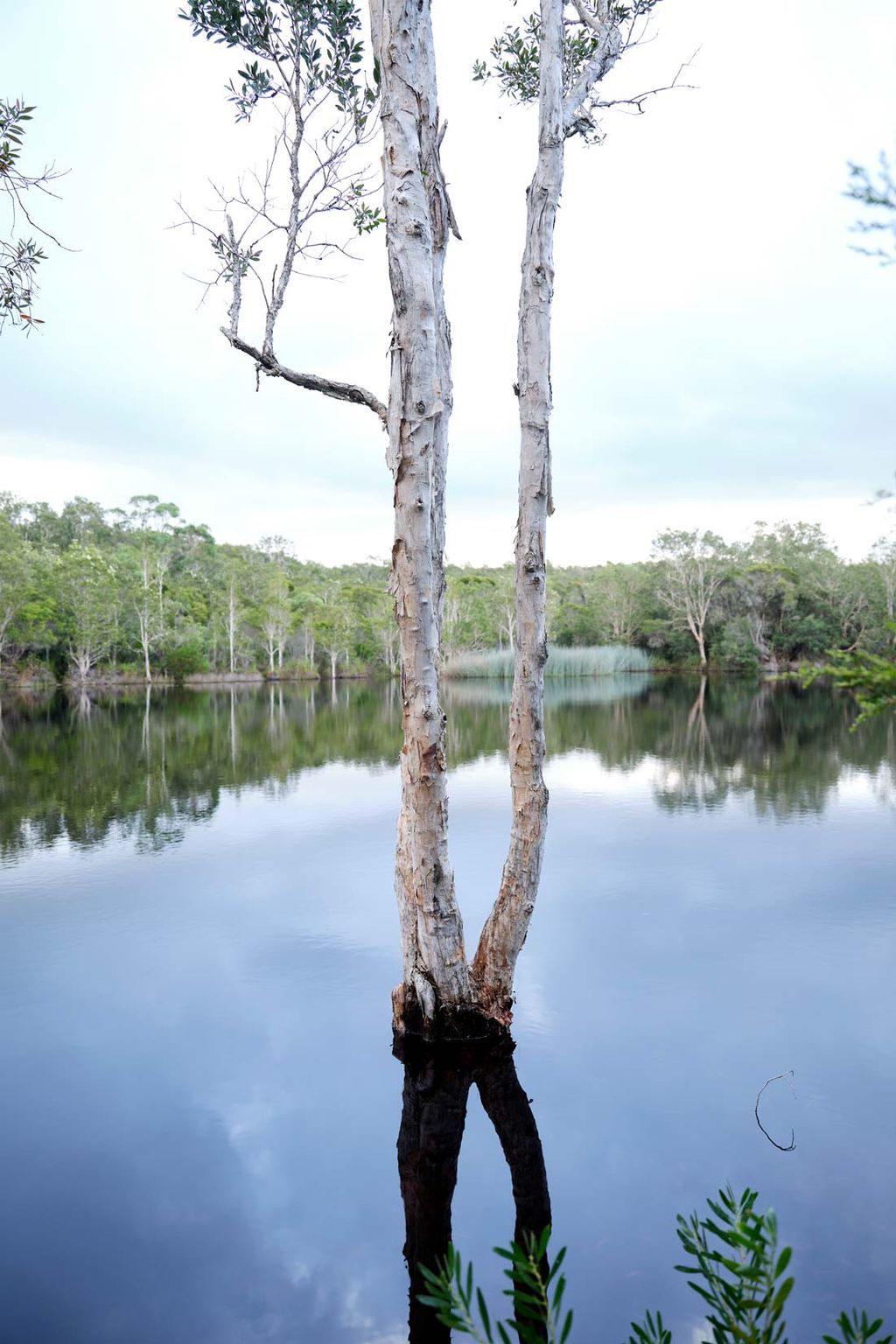 How Many F-Stops of Light Does an ND Filter Reduce? · Urth Magazine