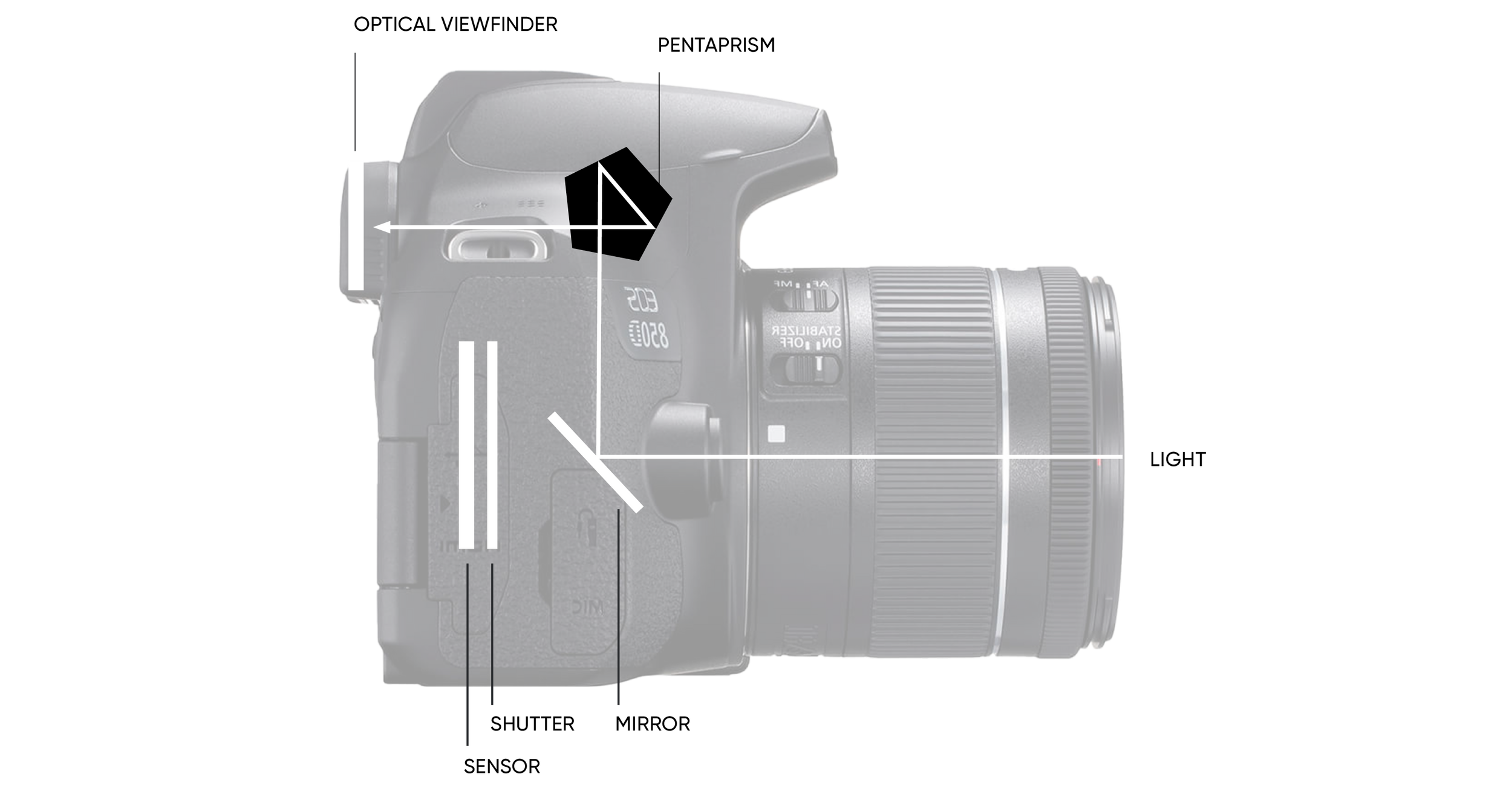 Best DSLR Cameras for Beginners · Urth Magazine