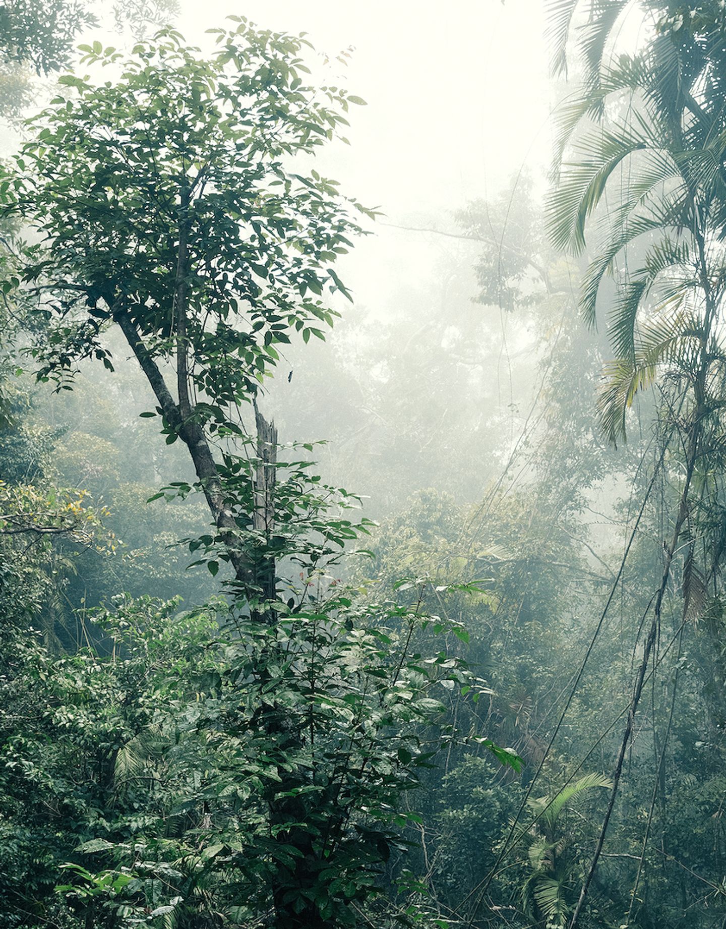 The Best Lens Filters for Nature Photography (2024) · Urth Magazine