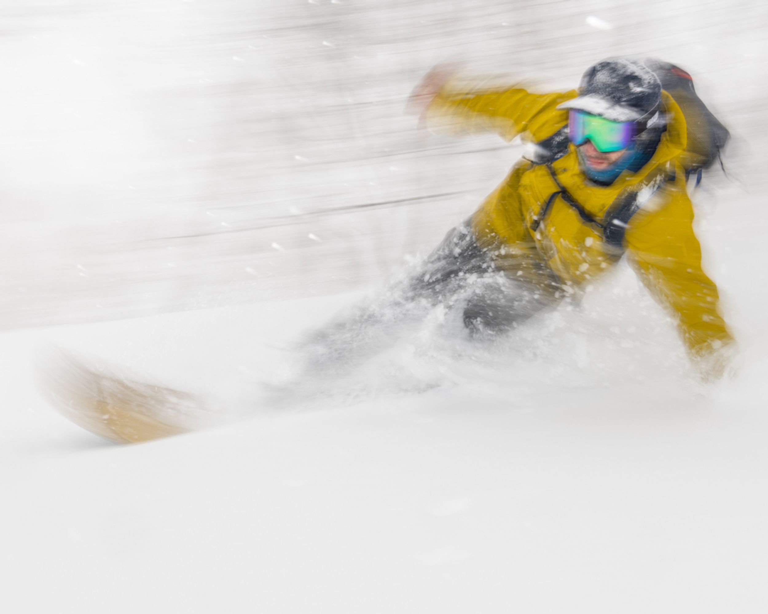 Talking to Trees with Jordan Manley · Urth Magazine