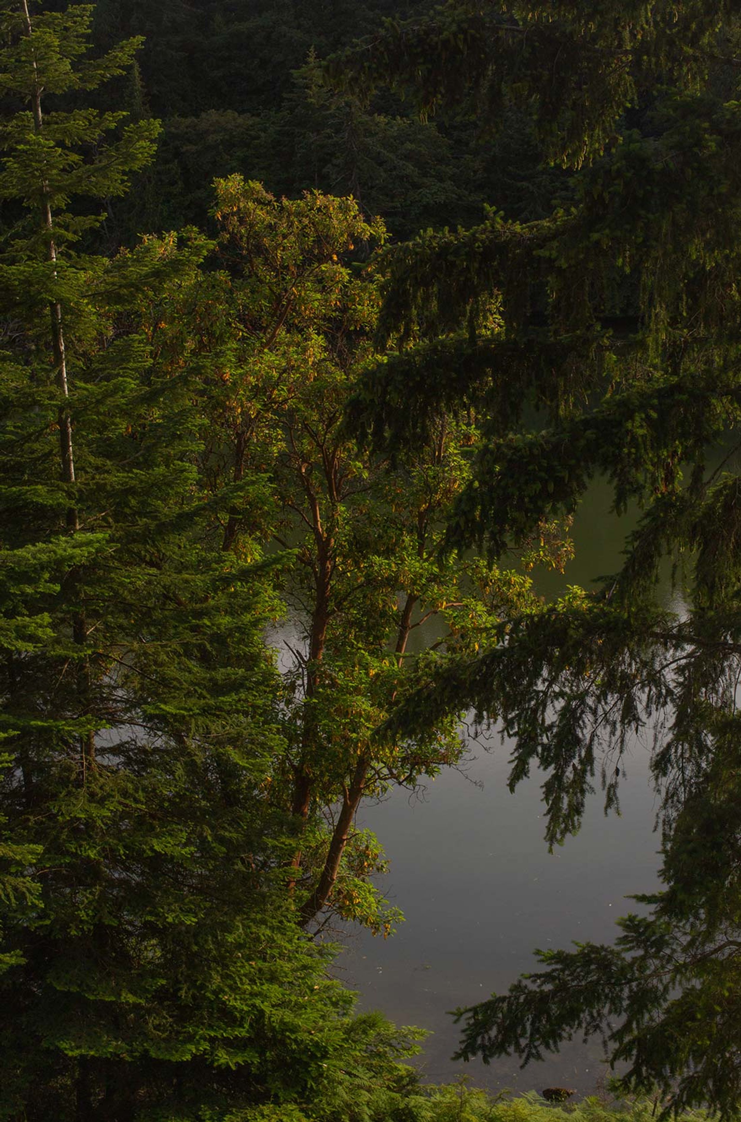 How Chiara Zonca Takes Photos with a CPL Filter · Urth Magazine