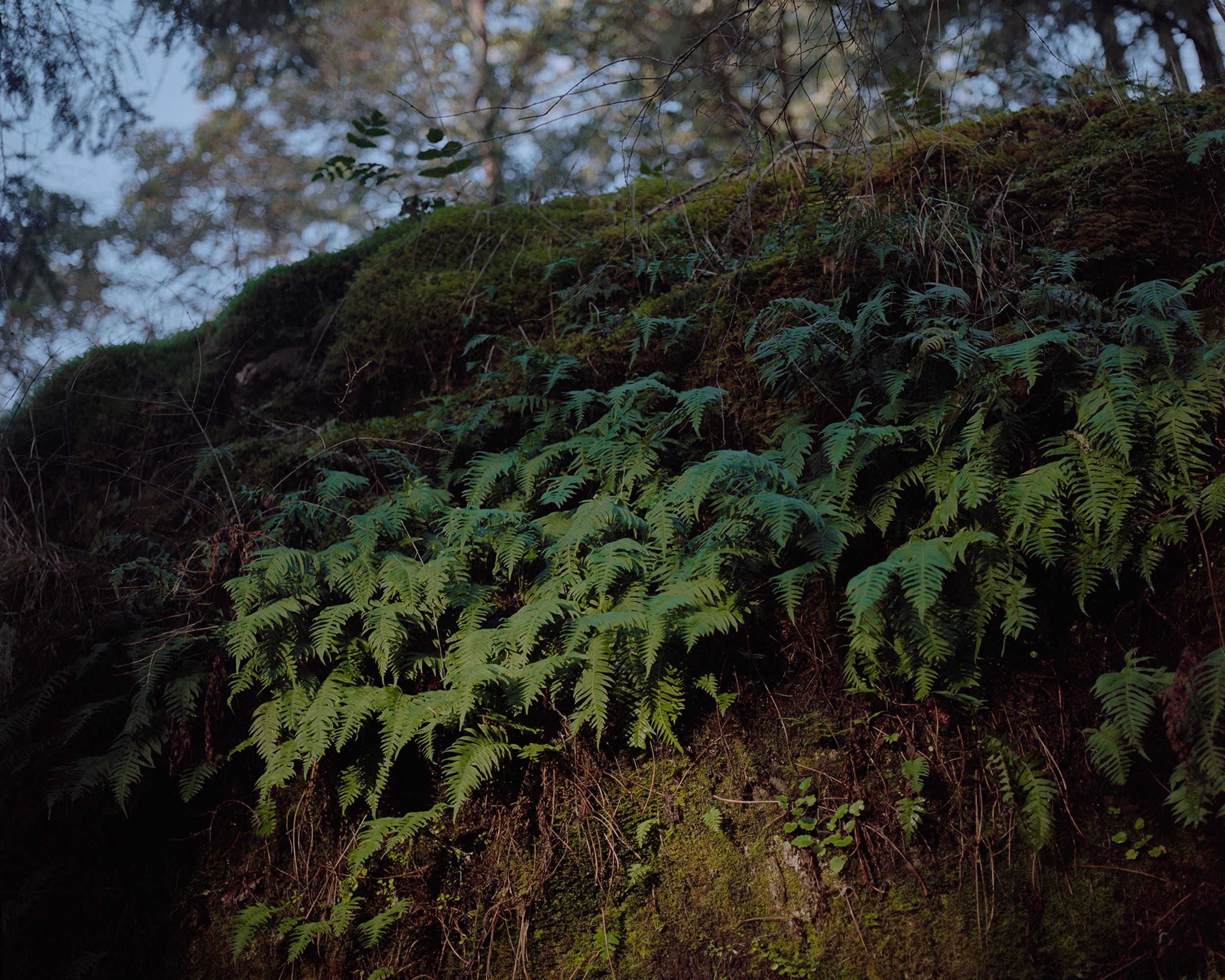 11 Pieces of Gear Chiara Zonca Uses For a Photoshoot · Urth Magazine