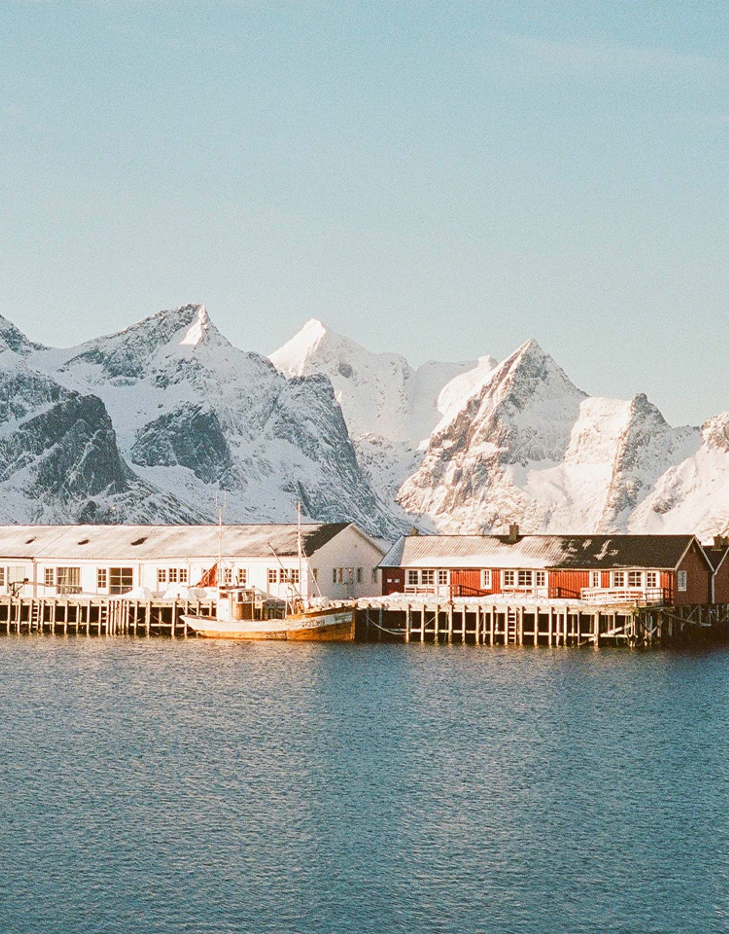 The Fish That Built Lofoten · Urth Magazine