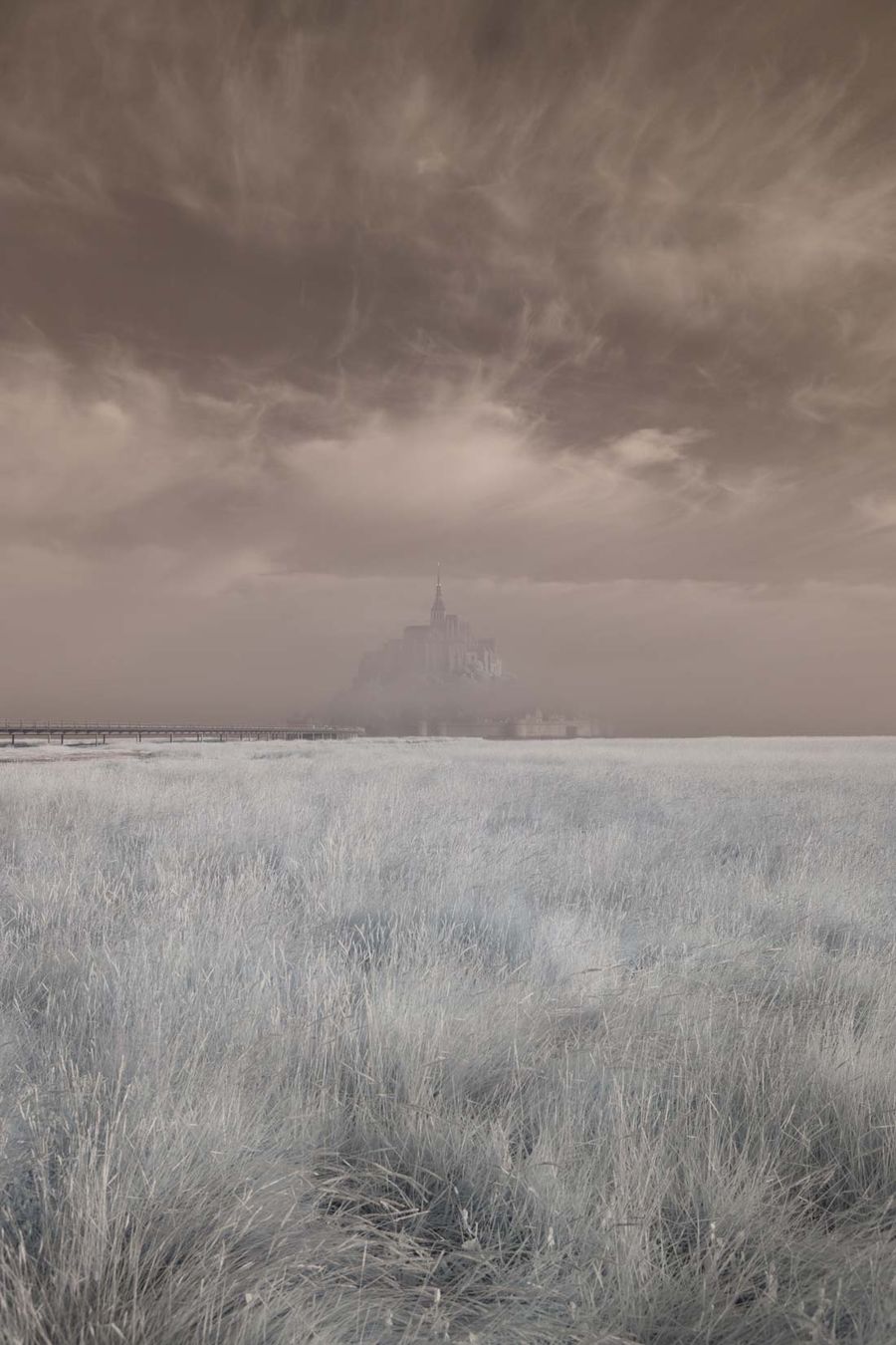 Infrared Filters: What Are They & How Do They Work · Urth Magazine
