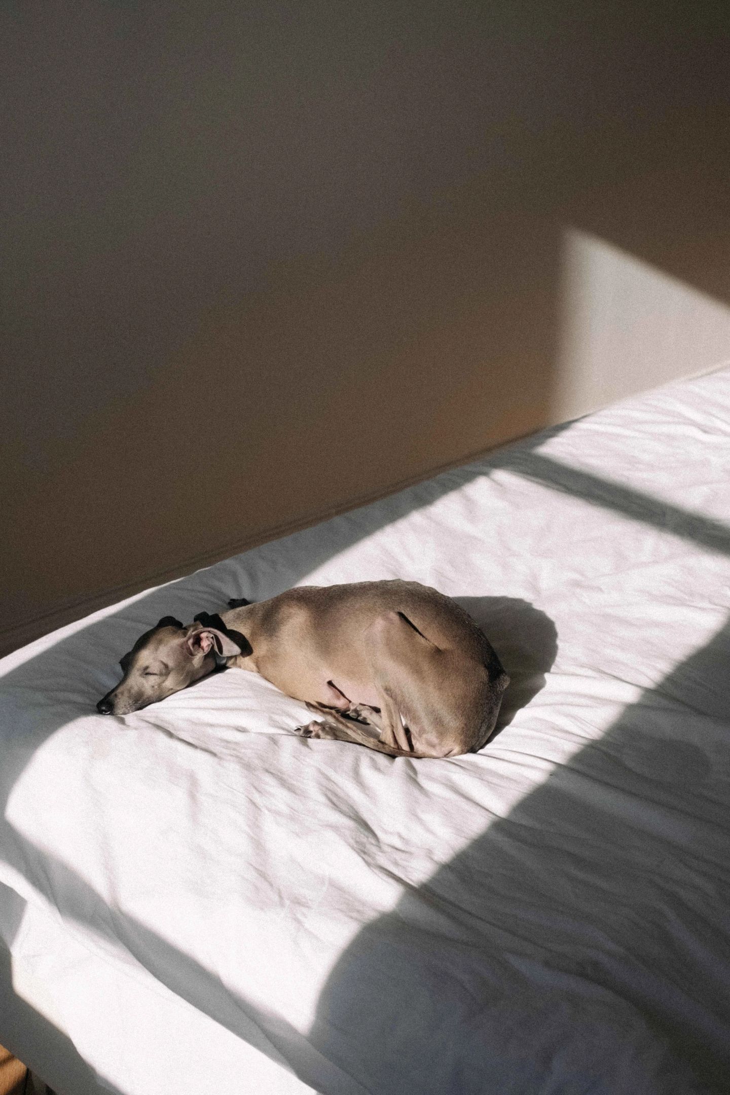 Inside the Home Studio of Nick Prideaux · Urth Magazine