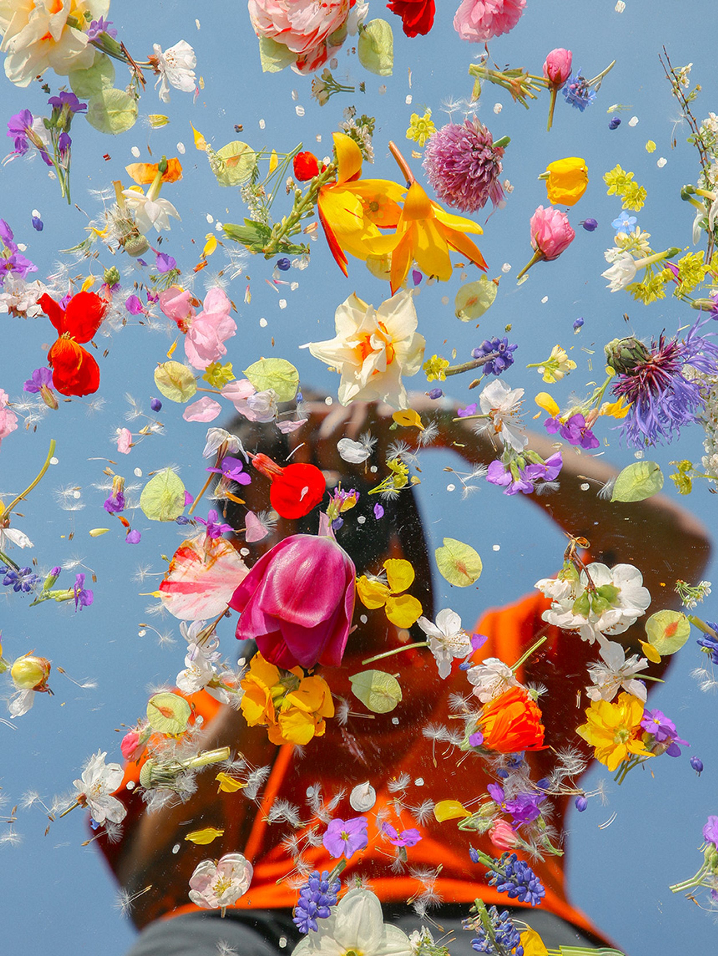 In Focus: Joe Horner on Capturing Nature’s Ephemeral Beauty · Urth Magazine